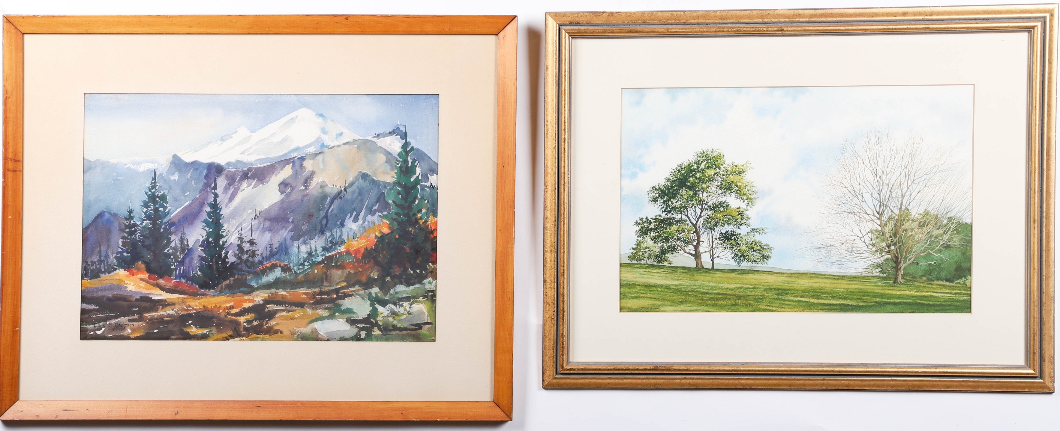 Barbara Neville | still life with flowers | MutualArt