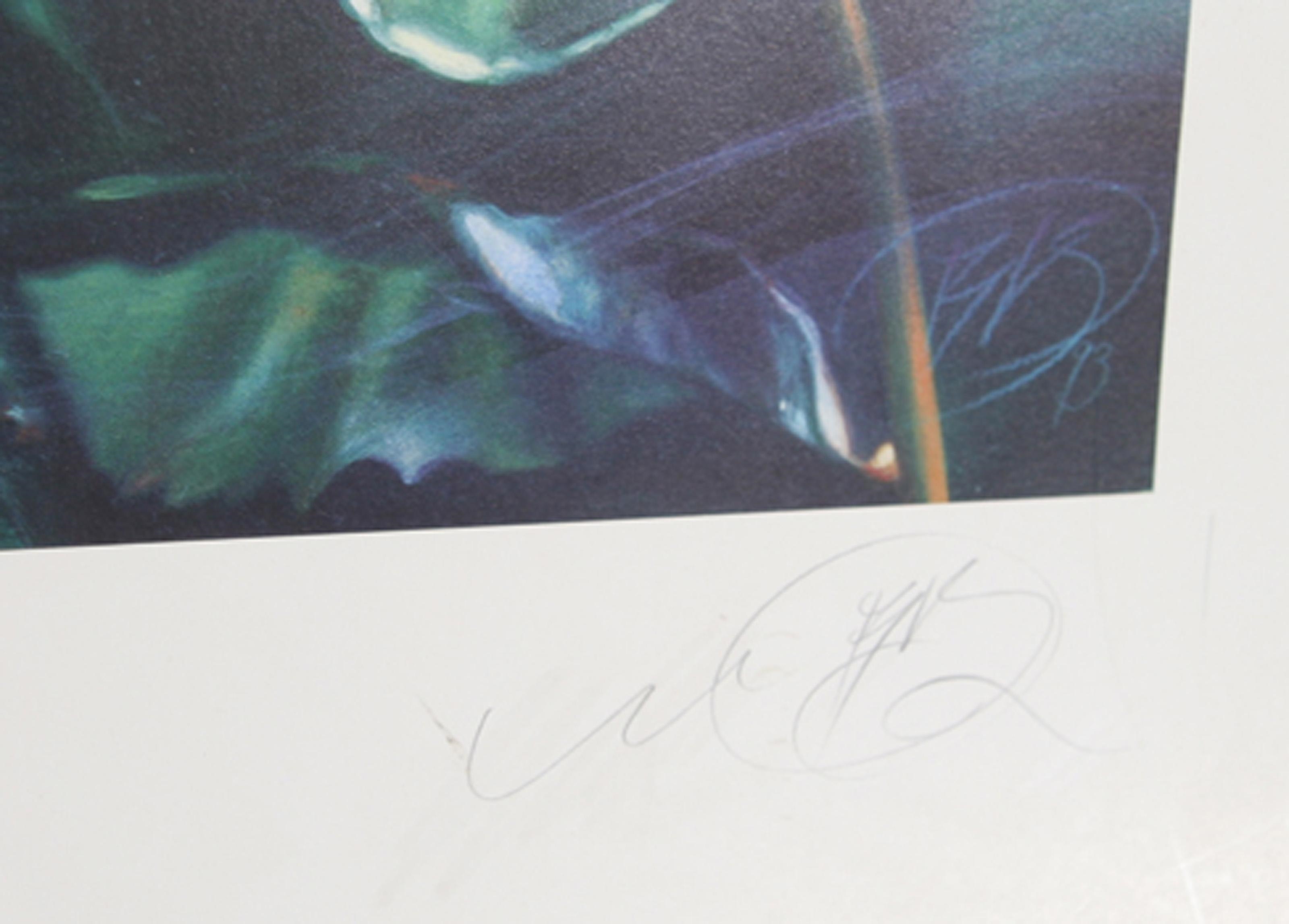 Brett Livingstone Strong | Rose (1994) | MutualArt