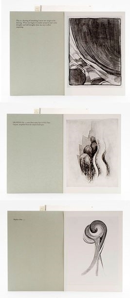 Georgia O'Keeffe | Some memories of drawings, Georgia O'Keeffe. New ...