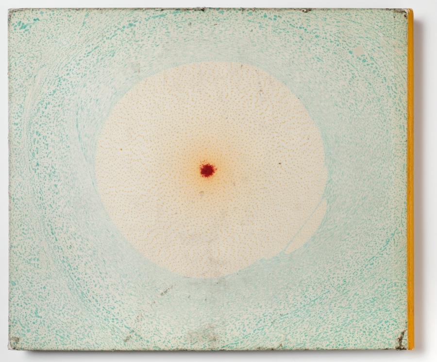 Jindrich Heisler | NUR DIE TURMFALKEN BRUNZEN RUHIG AUF DIE 10 GEBOTE ...