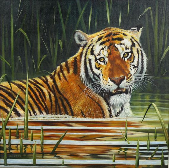 David Ayling | Biography