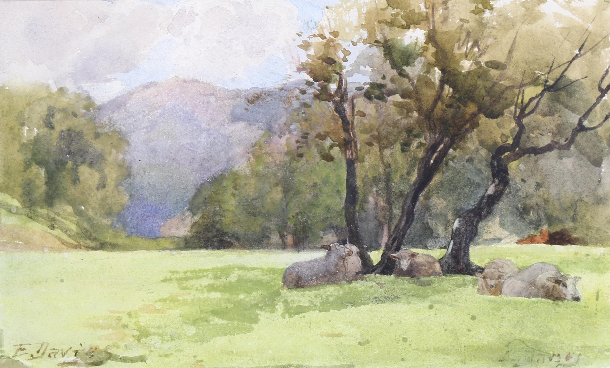 Edward Davies | sheep in shade | MutualArt