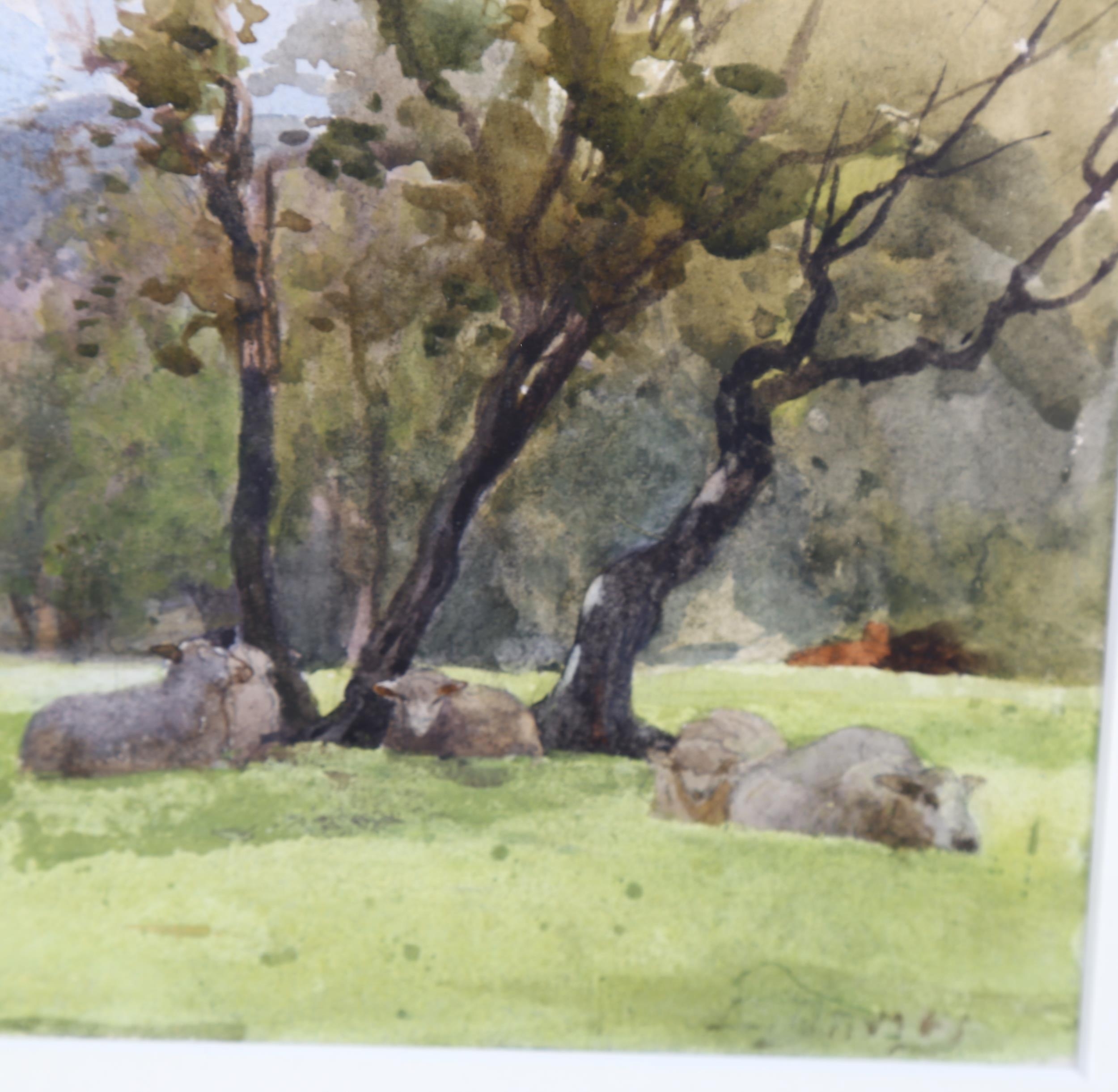 Edward Davies | sheep in shade | MutualArt