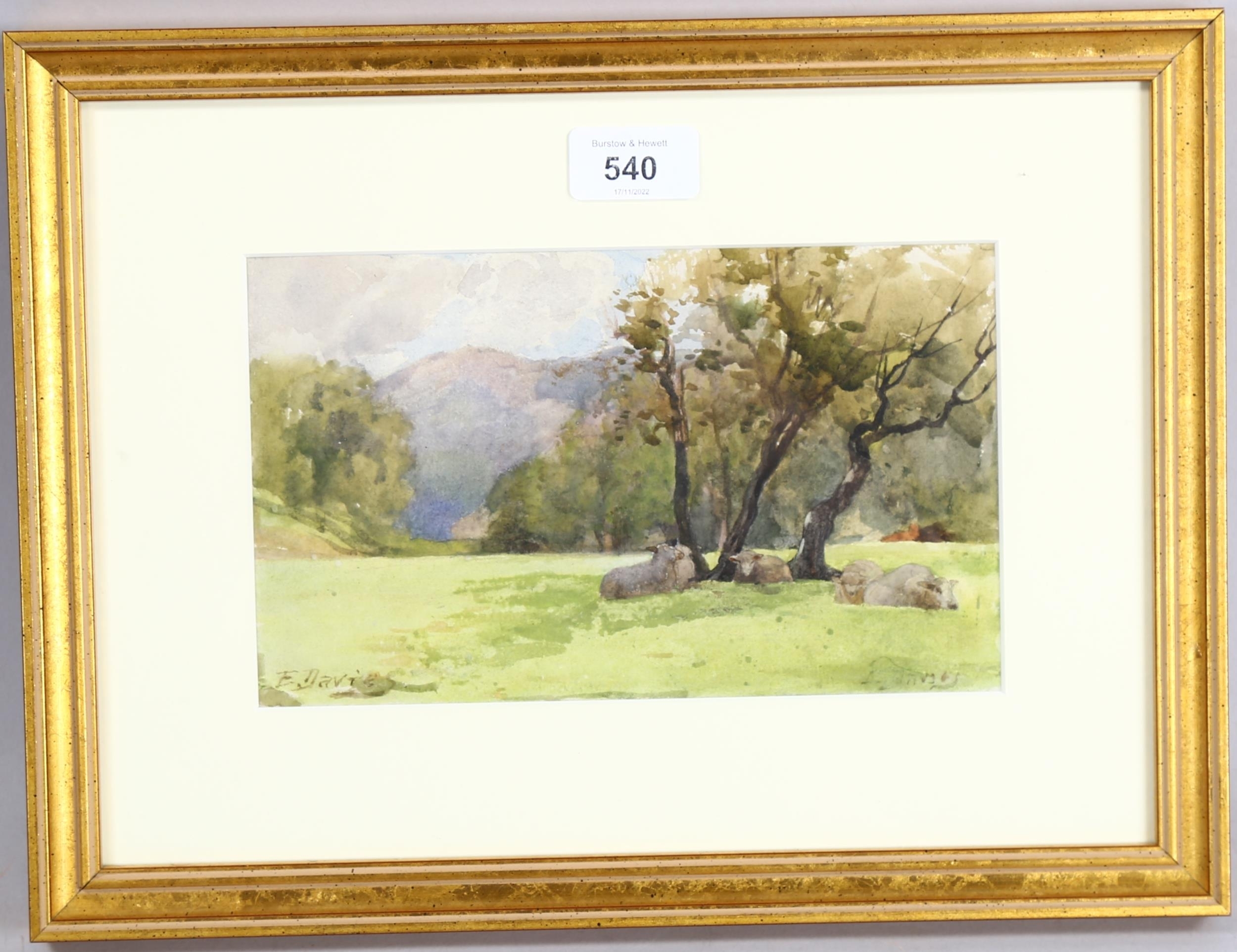 Edward Davies | sheep in shade | MutualArt