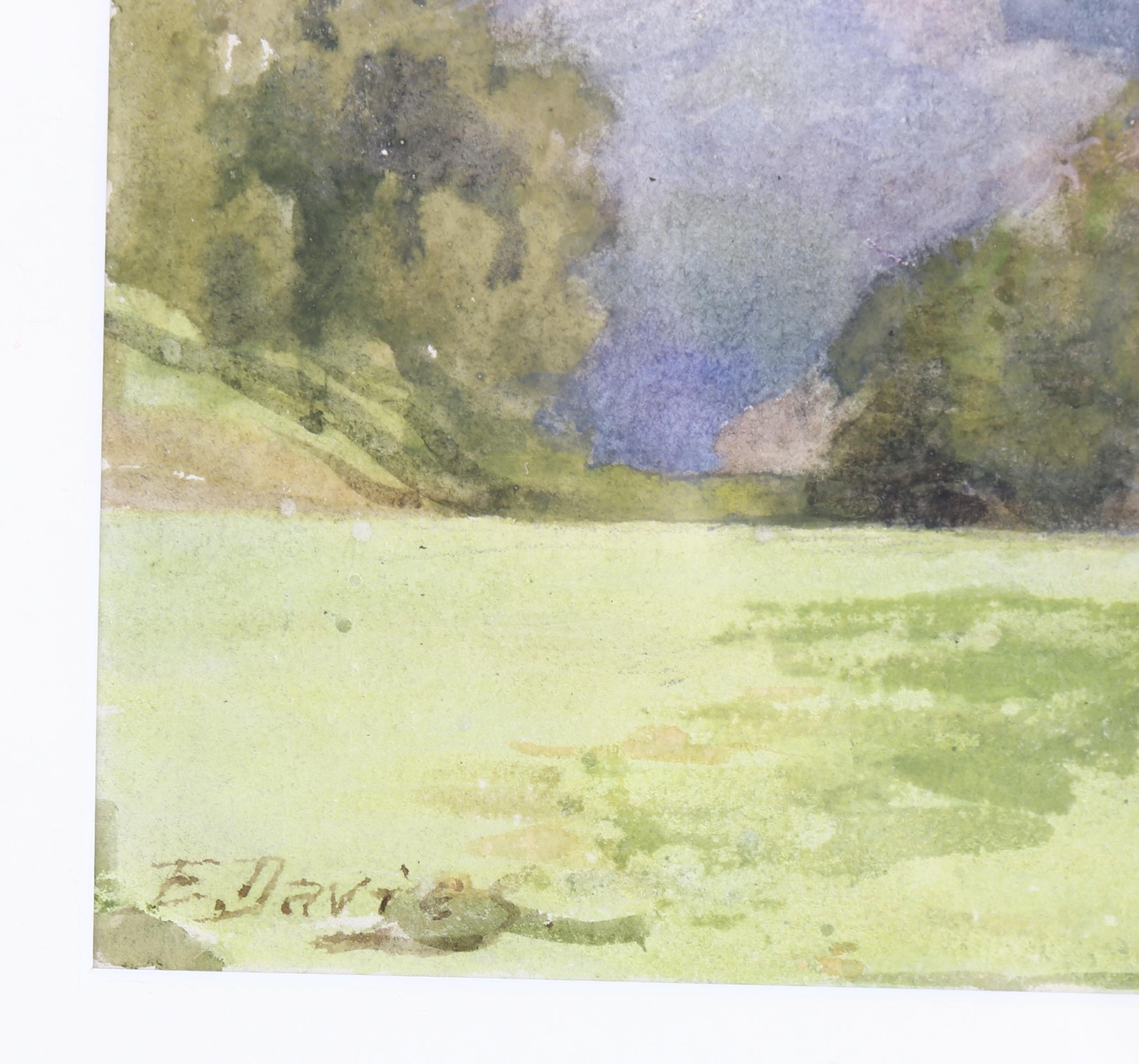 Edward Davies | sheep in shade | MutualArt