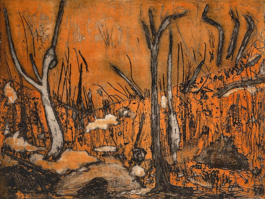 Edith Cowlishaw | Bushfire | MutualArt