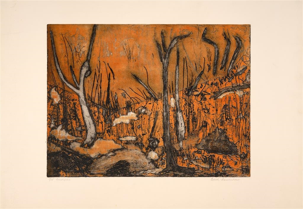 Edith Cowlishaw | Bushfire | MutualArt