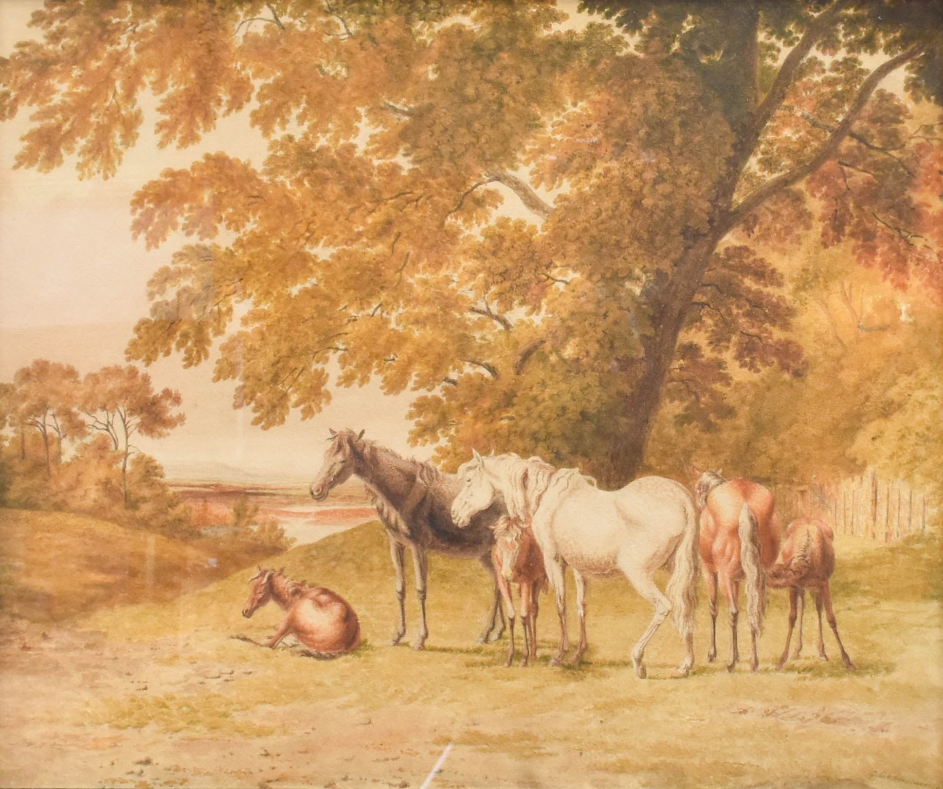 Robert Hills | Mares and foals in a landscape | MutualArt