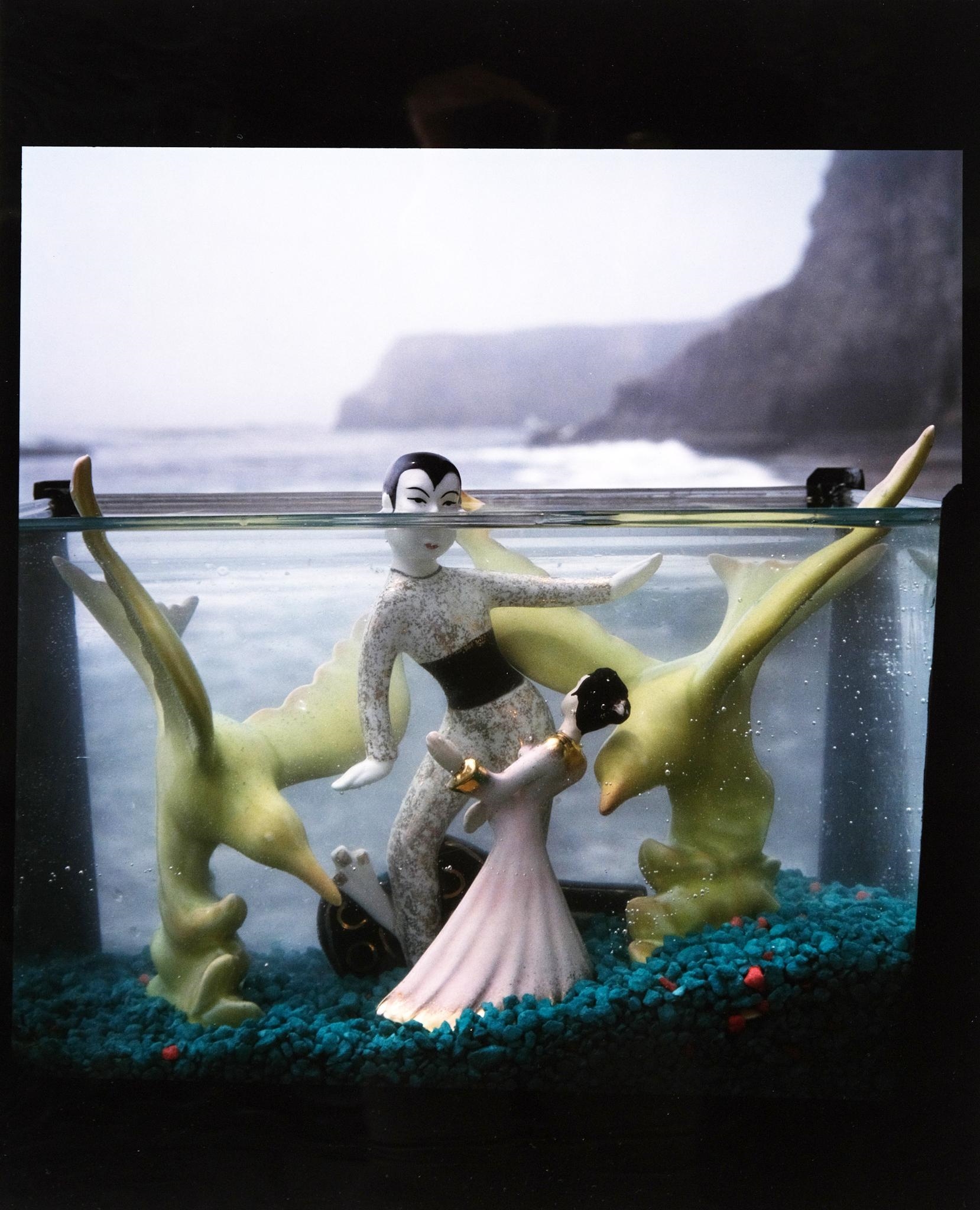 Arthur Tress | The artist dances with the seagulls | MutualArt