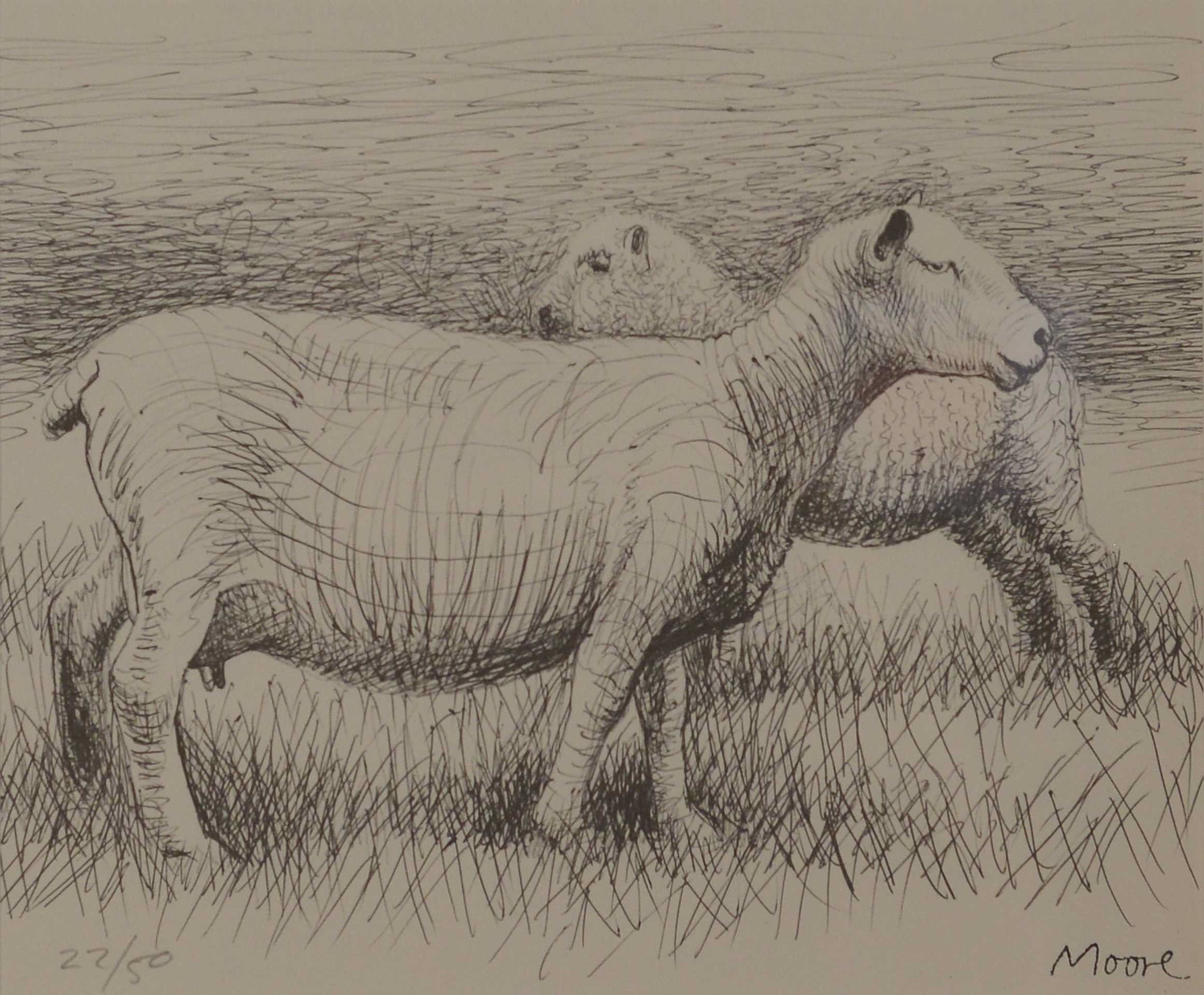 Henry Moore | Sheep | MutualArt