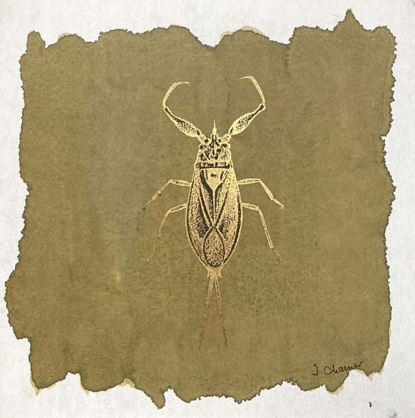 Jacques Charrier | Insects (1936) | MutualArt