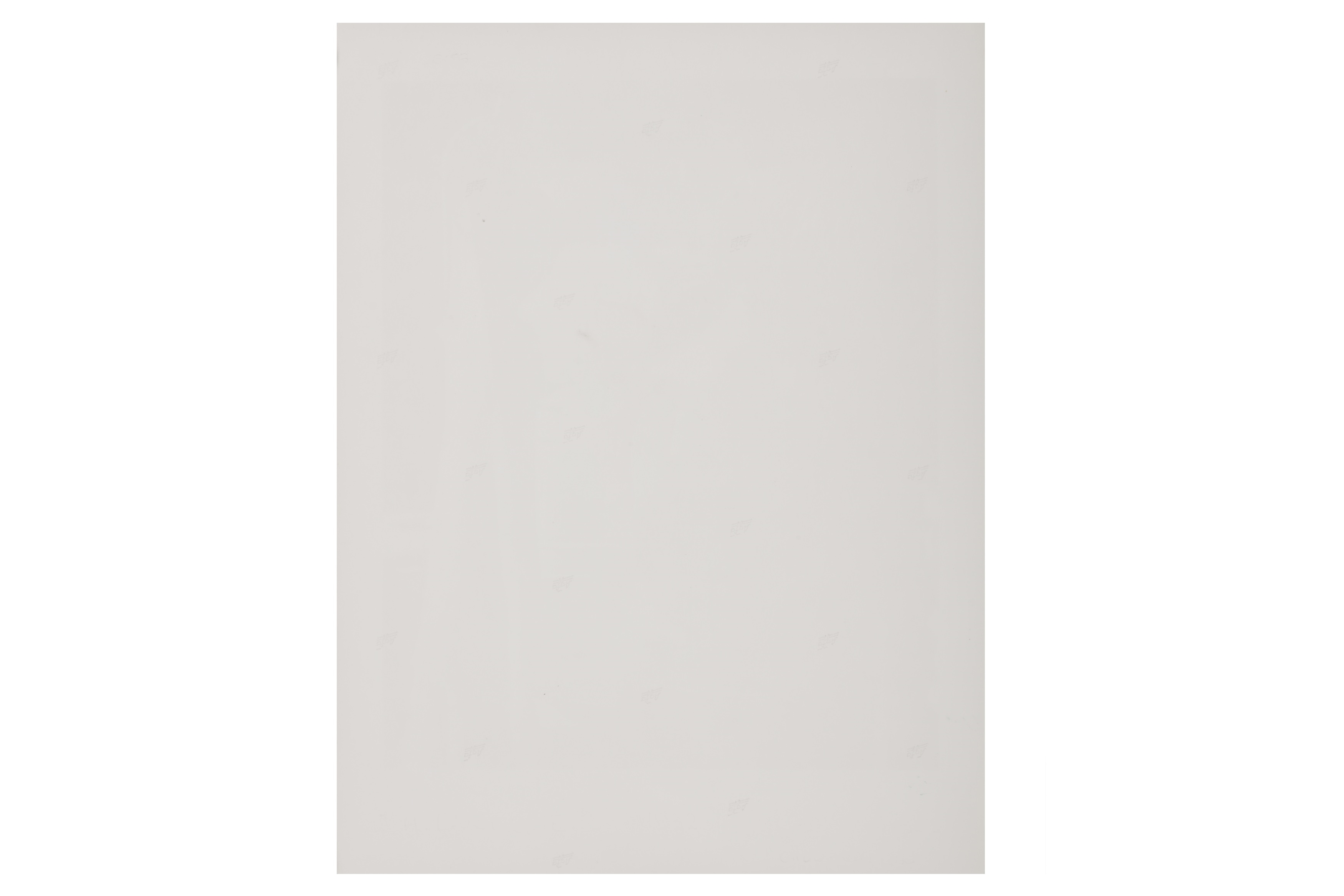 Jacques-Henri Lartigue | CHOU VALTON A LA PLAGE - LA GAROUPE CAP D ...