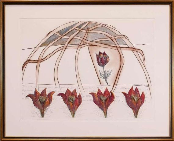 joane cardinal schubert