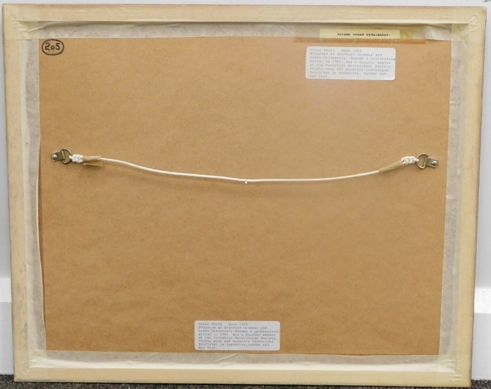 Peter Shutt | Autumn Around Rydal Water | MutualArt