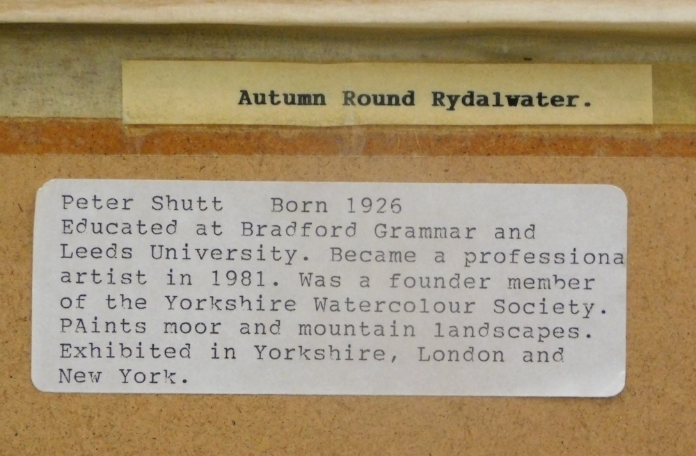 Peter Shutt | Autumn Around Rydal Water | MutualArt