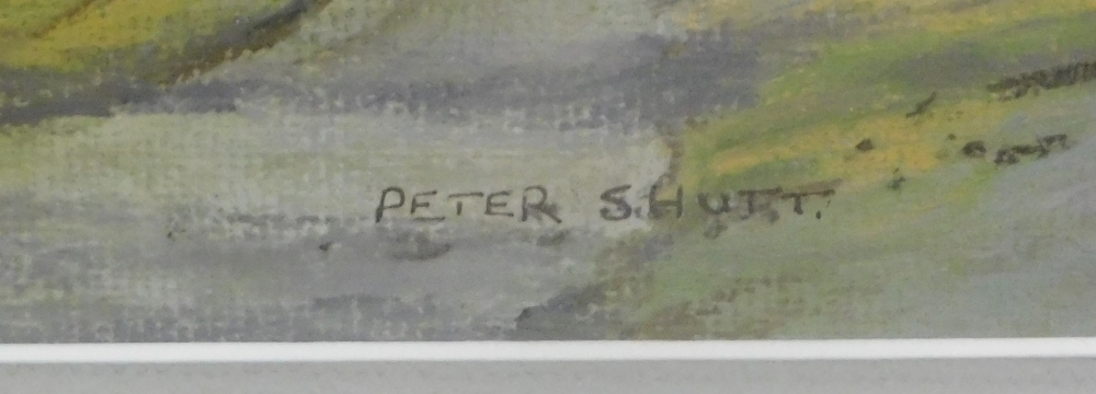 Peter Shutt | Autumn Around Rydal Water | MutualArt