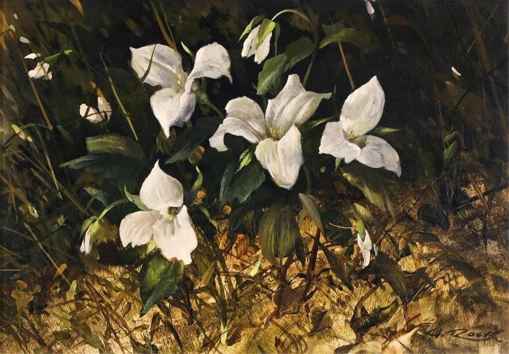 Geoffrey Allan Rock | TRILLIUMS; 1970 (1970) | MutualArt