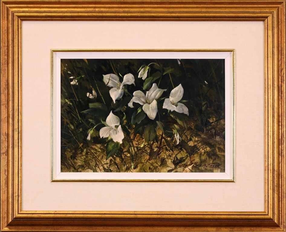 Geoffrey Allan Rock | TRILLIUMS; 1970 (1970) | MutualArt