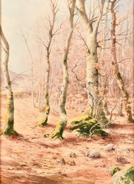 Auguste Allonge | View of the forest through the birch trees | MutualArt