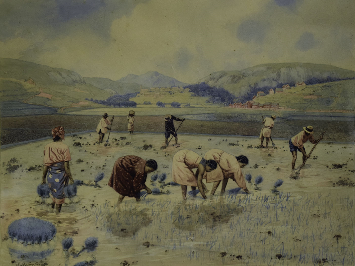 Émile Ralambo | Rice field in Madagascar | MutualArt