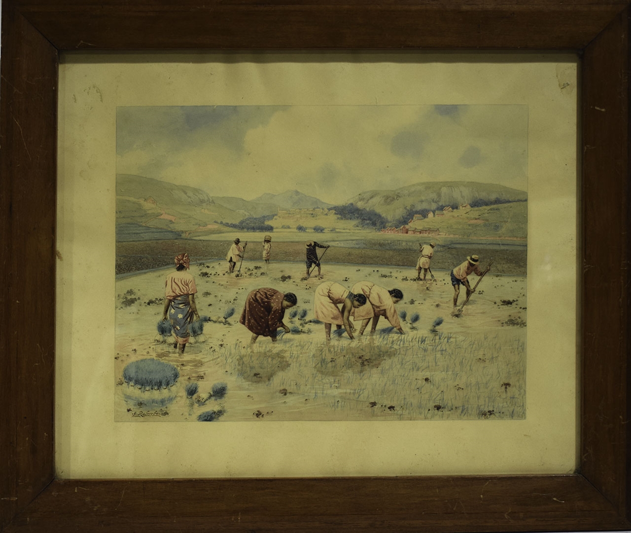 Émile Ralambo | Rice field in Madagascar | MutualArt