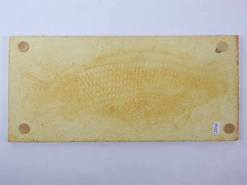 Roger Capron | Rectangular ceramic plate decorated with a fish profile ...