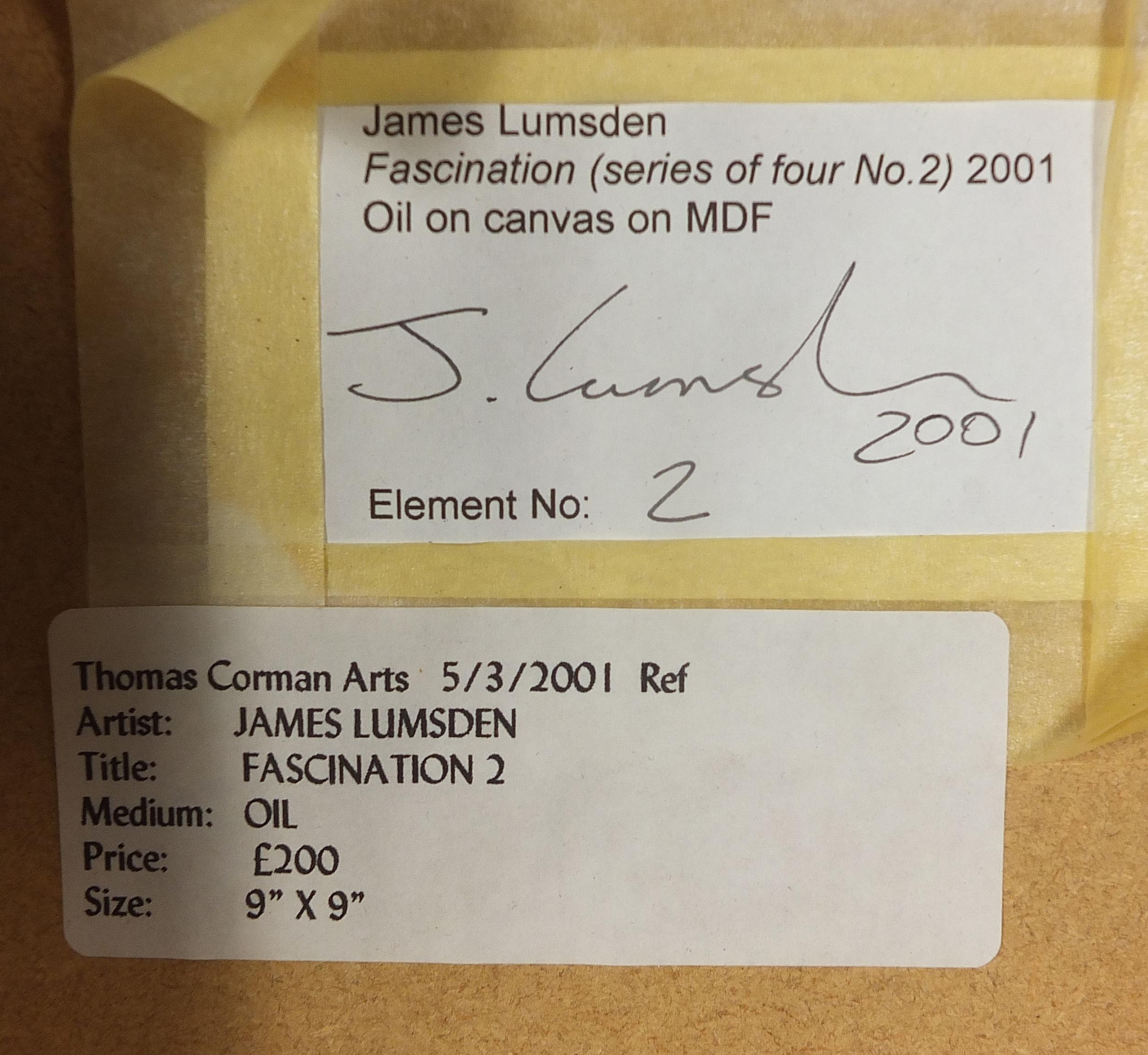 James Lumsden | Fascination | MutualArt