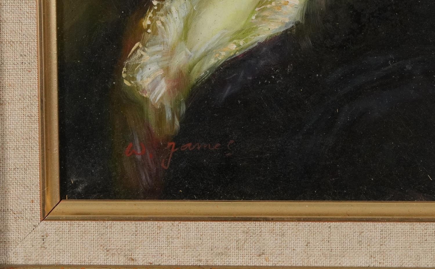 W. James | Head and shoulders portrait of a female | MutualArt