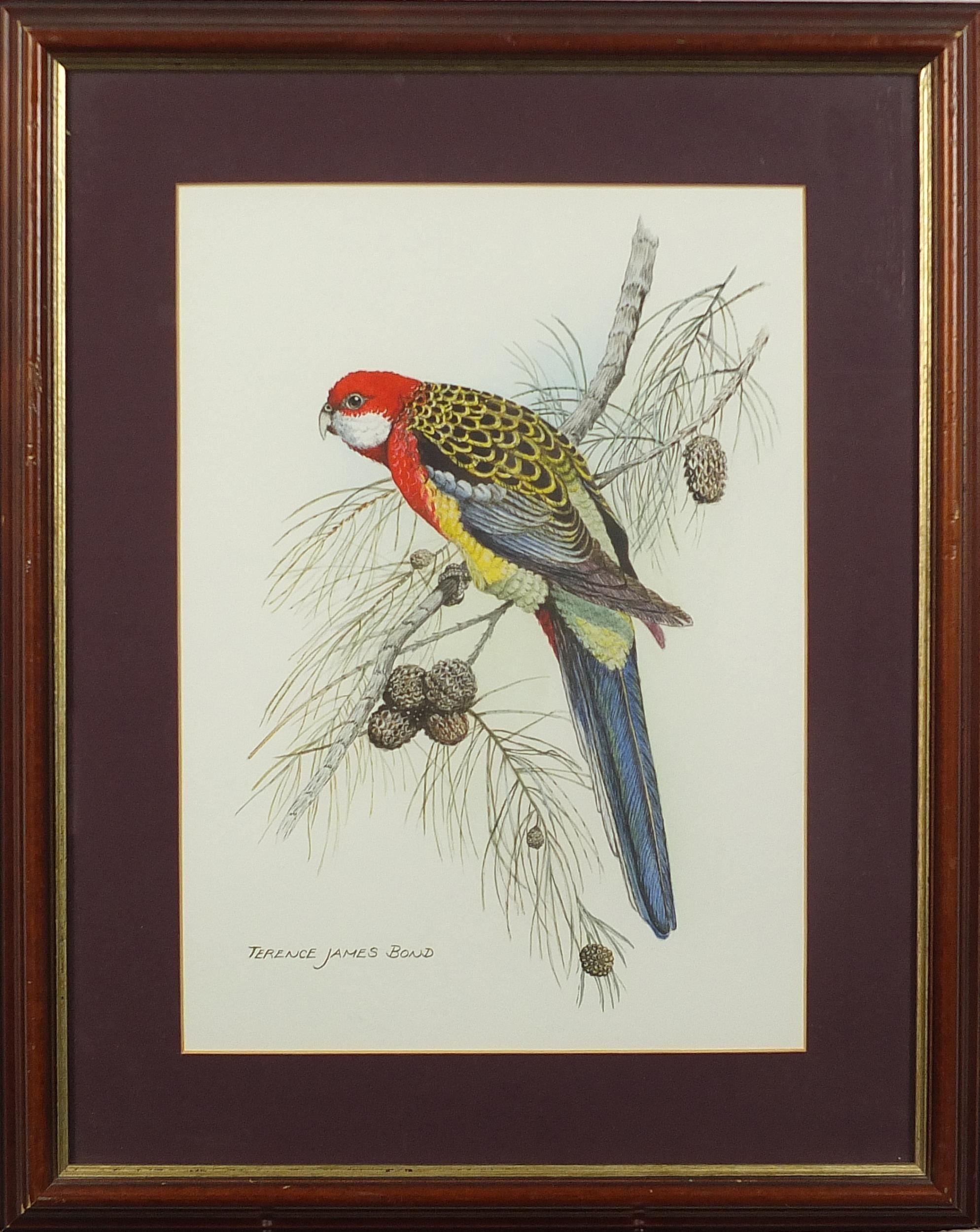 Terence James Bond | Parakeet | MutualArt
