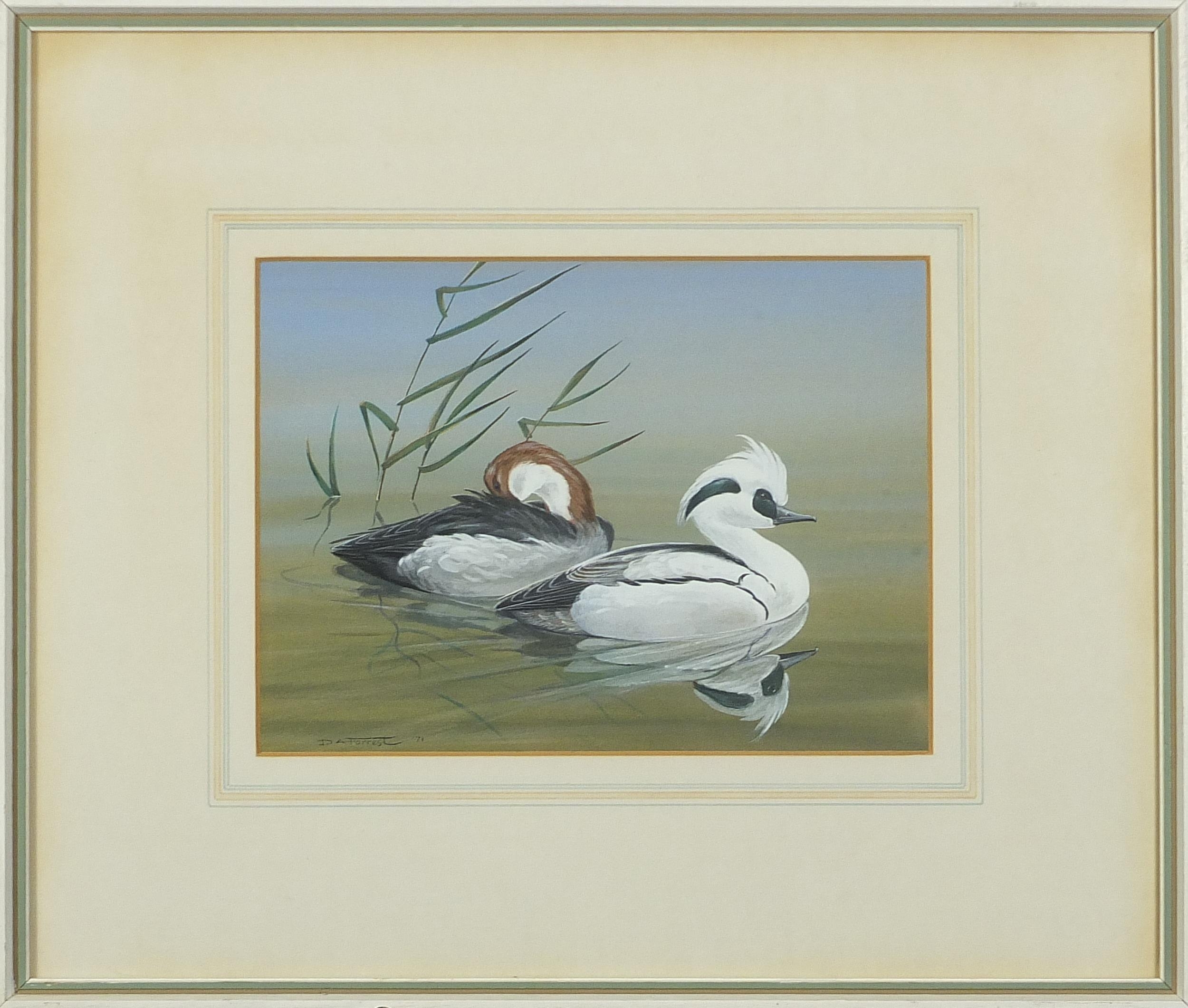 Don Forrest | Birds in flight and Ducks on Water | MutualArt