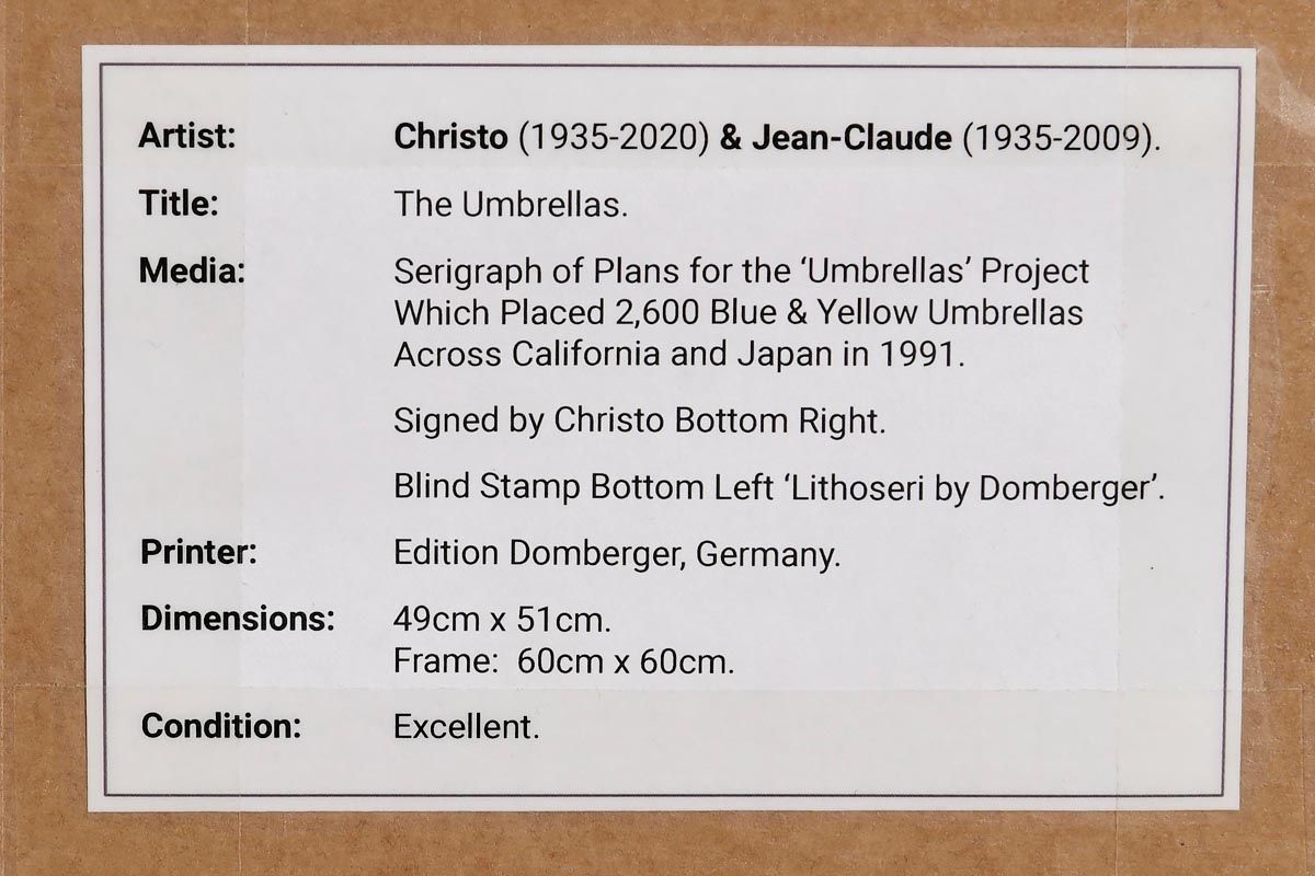 Christo | The Umbrellas | MutualArt