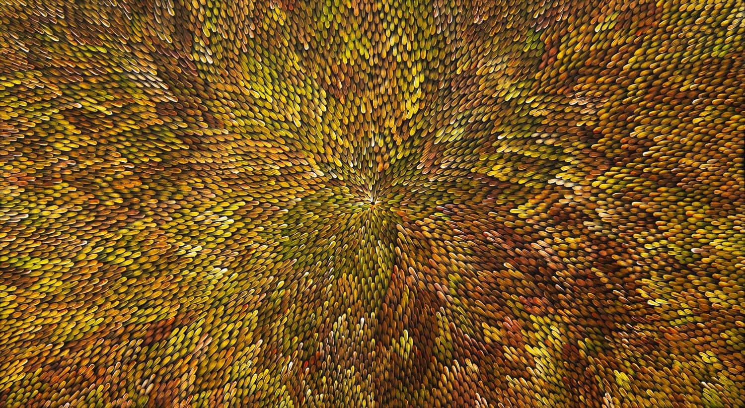 Dallvina Roderick | Bush Medicine (2021) | MutualArt