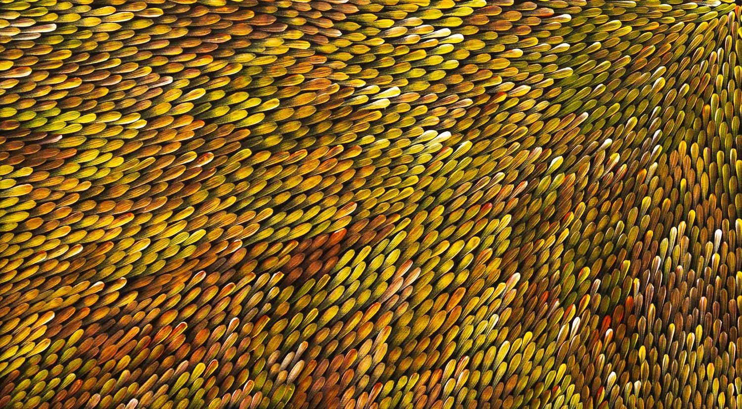 Dallvina Roderick | Bush Medicine (2021) | MutualArt