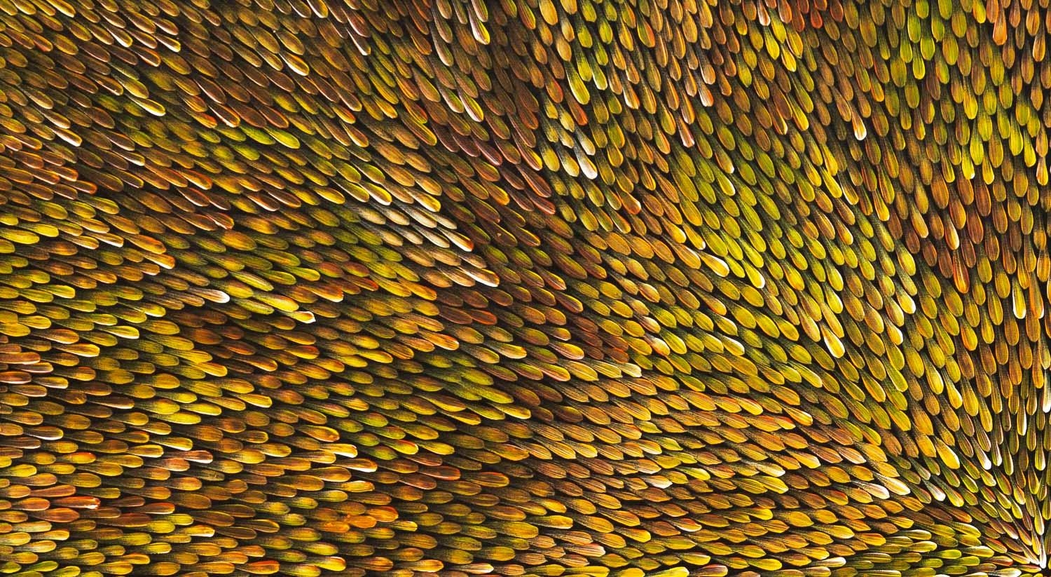 Dallvina Roderick | Bush Medicine (2021) | MutualArt