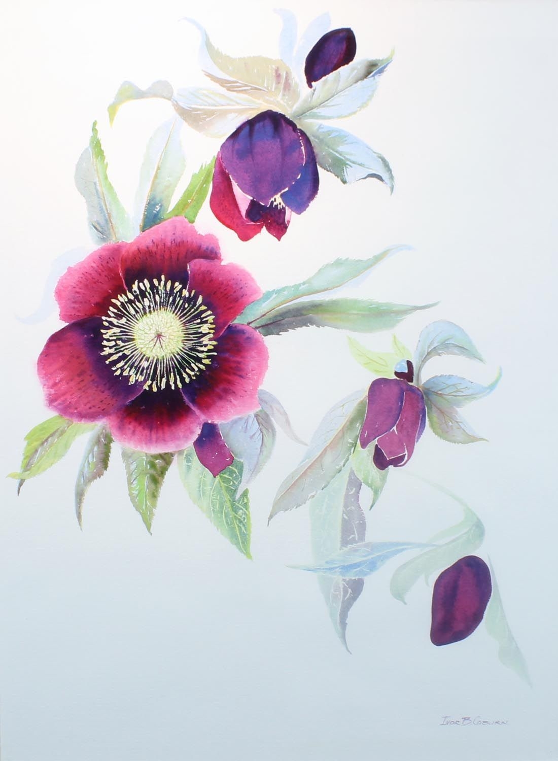 Ivor B. Coburn | Flower Still Life | MutualArt