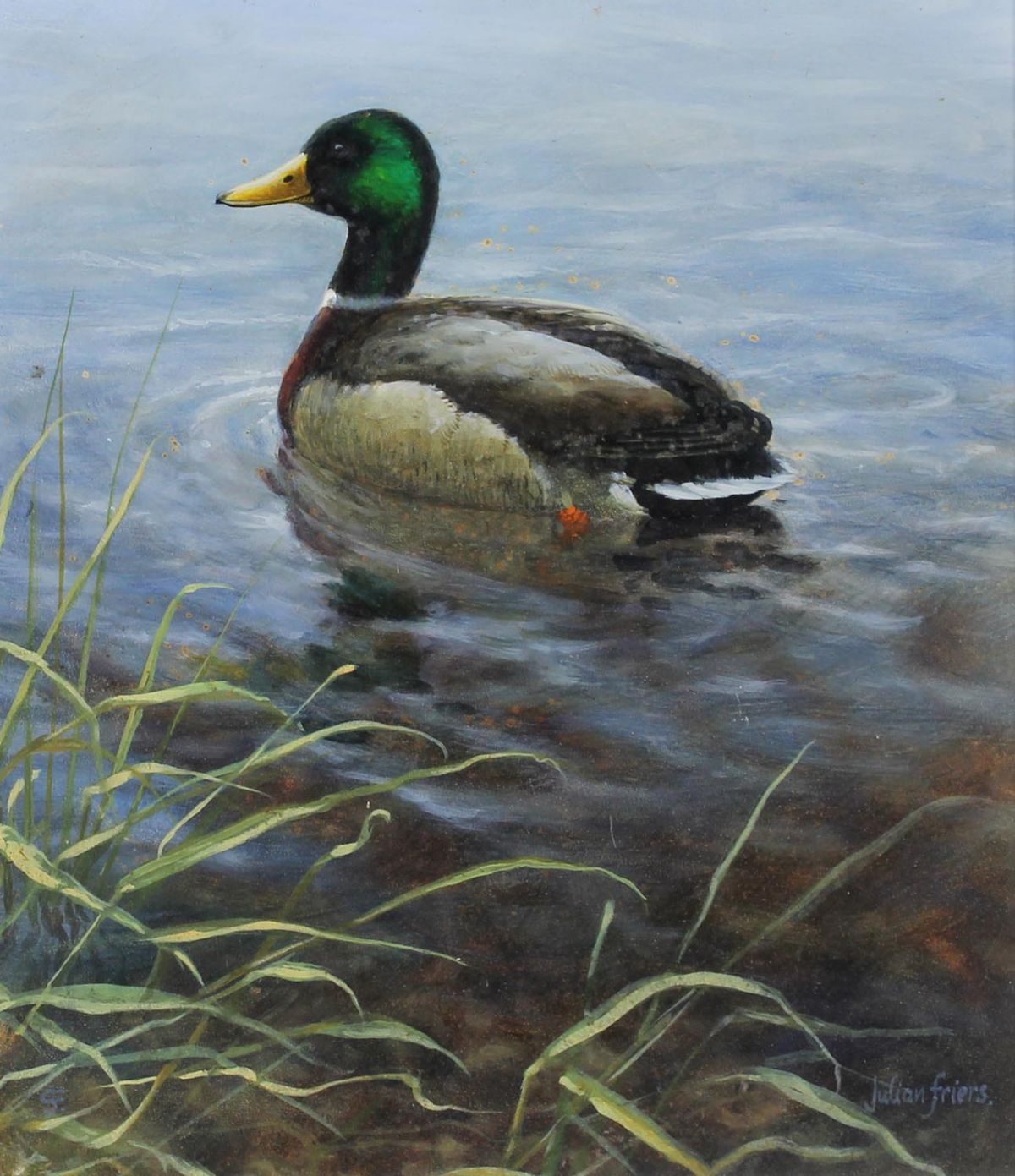 Julian Friers | Mallard Duck | MutualArt