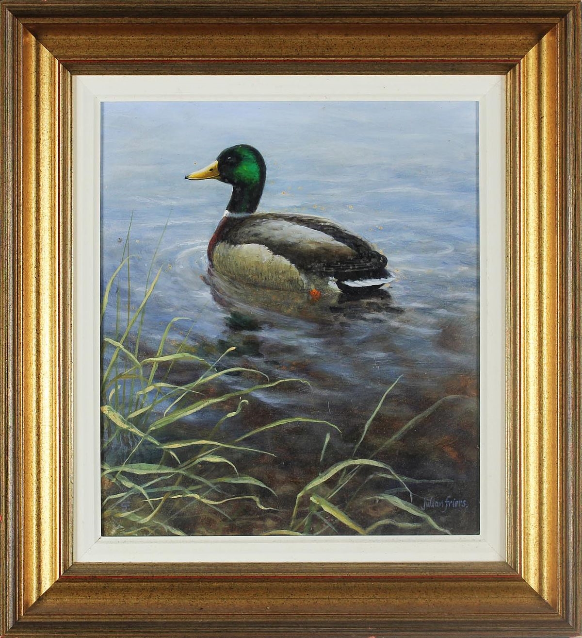 Julian Friers | Mallard Duck | MutualArt