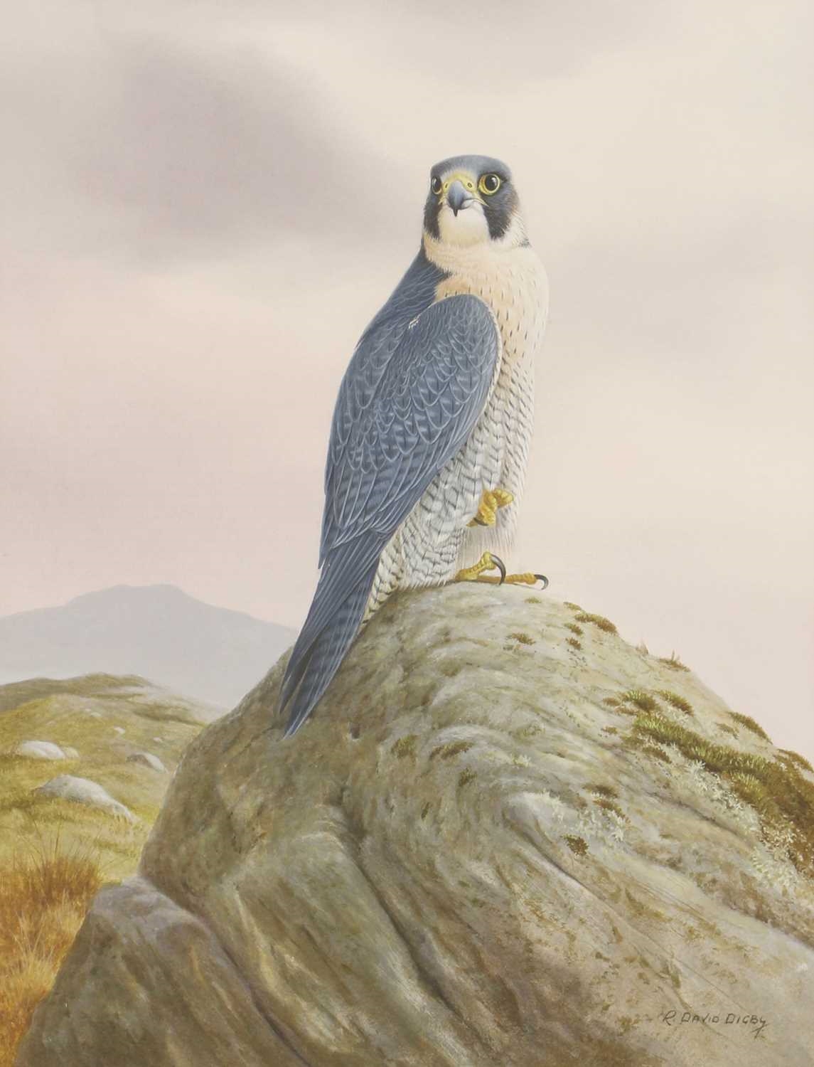 R. David Digby | Peregrine Falcon | MutualArt