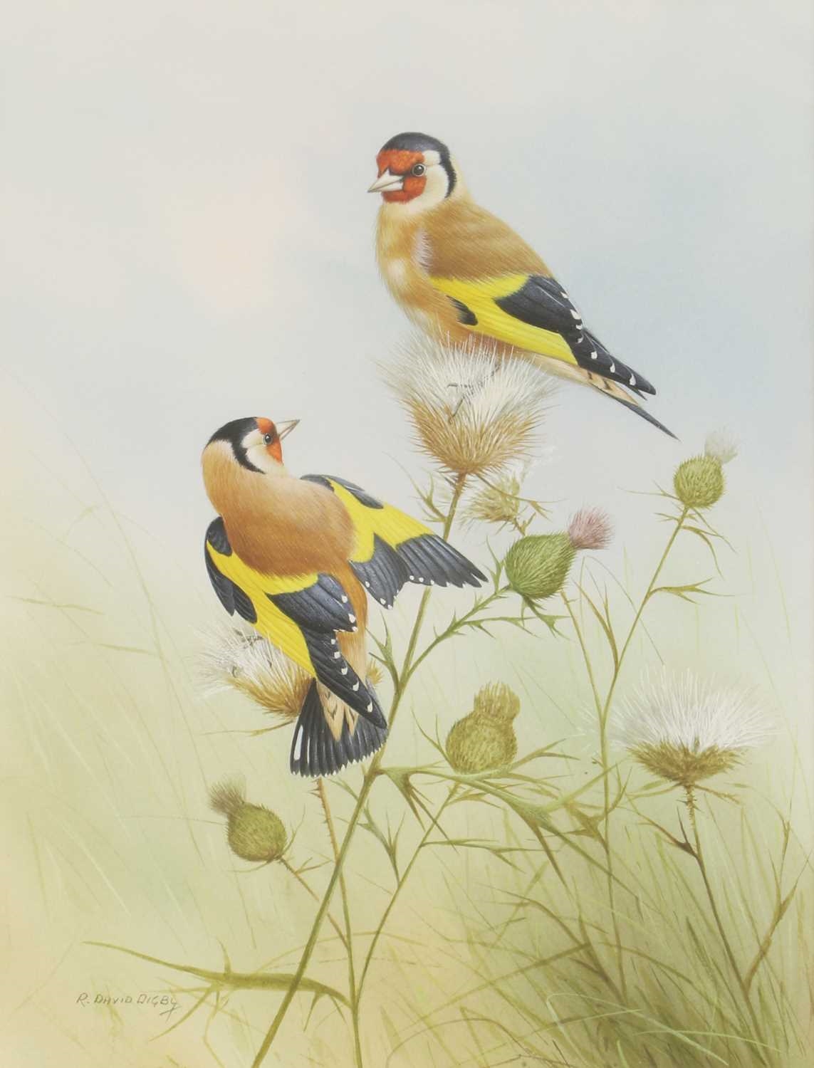 R. David Digby | Goldfinches | MutualArt