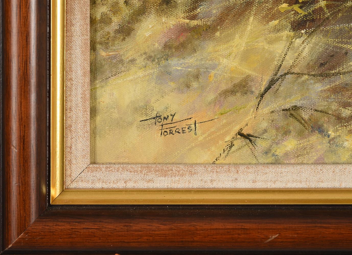 Tony Forrest | A TIGER IN THE SHADE | MutualArt