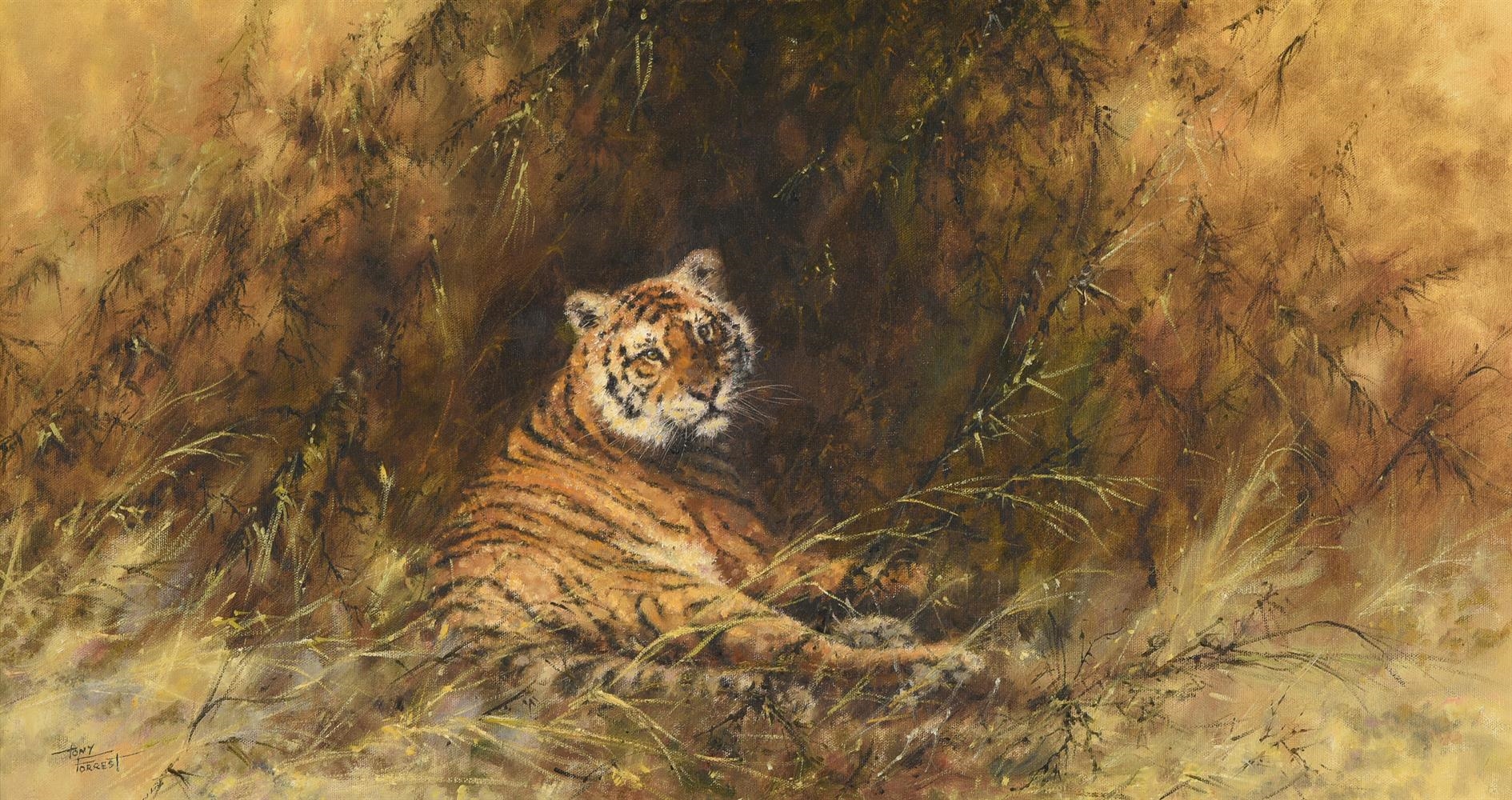 Tony Forrest | A TIGER IN THE SHADE | MutualArt