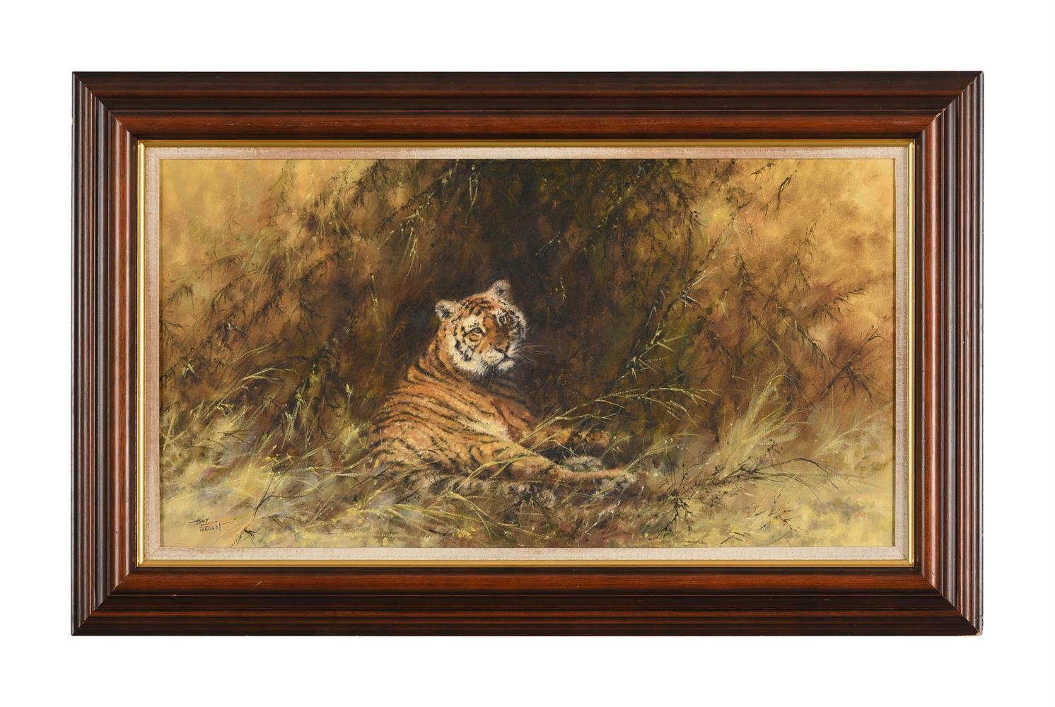 Tony Forrest | A TIGER IN THE SHADE | MutualArt