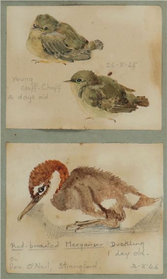 Margaret Patterson | 3 Artworks at Auction | MutualArt