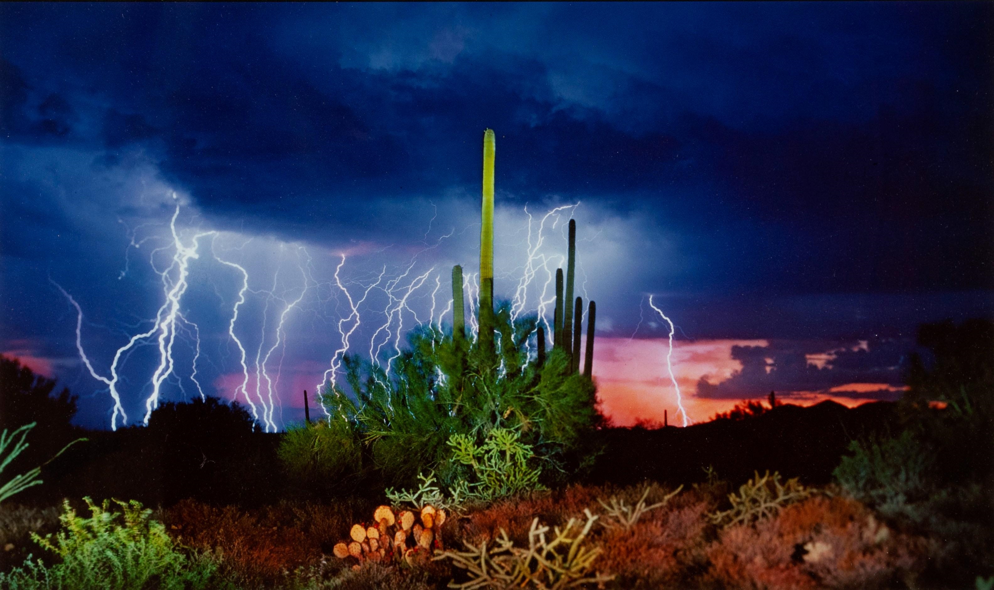 William Lesch | Lightning, Summer Thunderstorm, 1988 | MutualArt