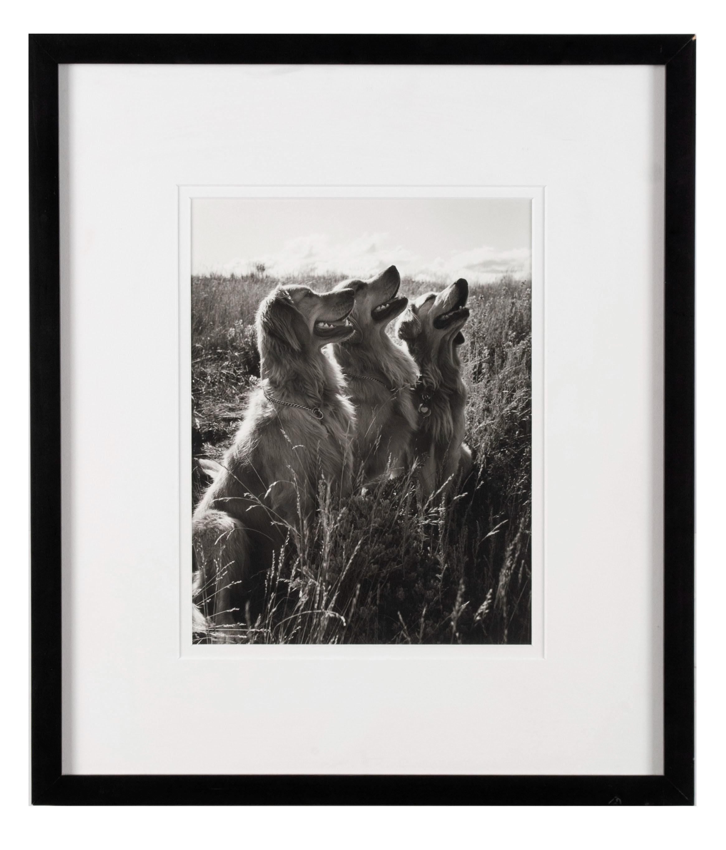 Bruce Weber | Destiny | MutualArt