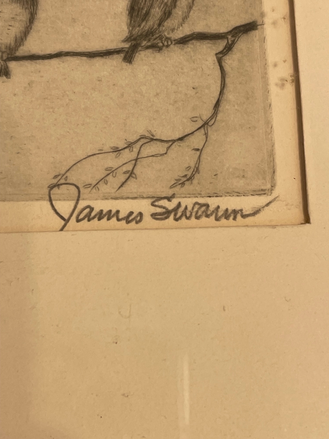 James Swann | JAMES SWANN Etching OWLS | MutualArt