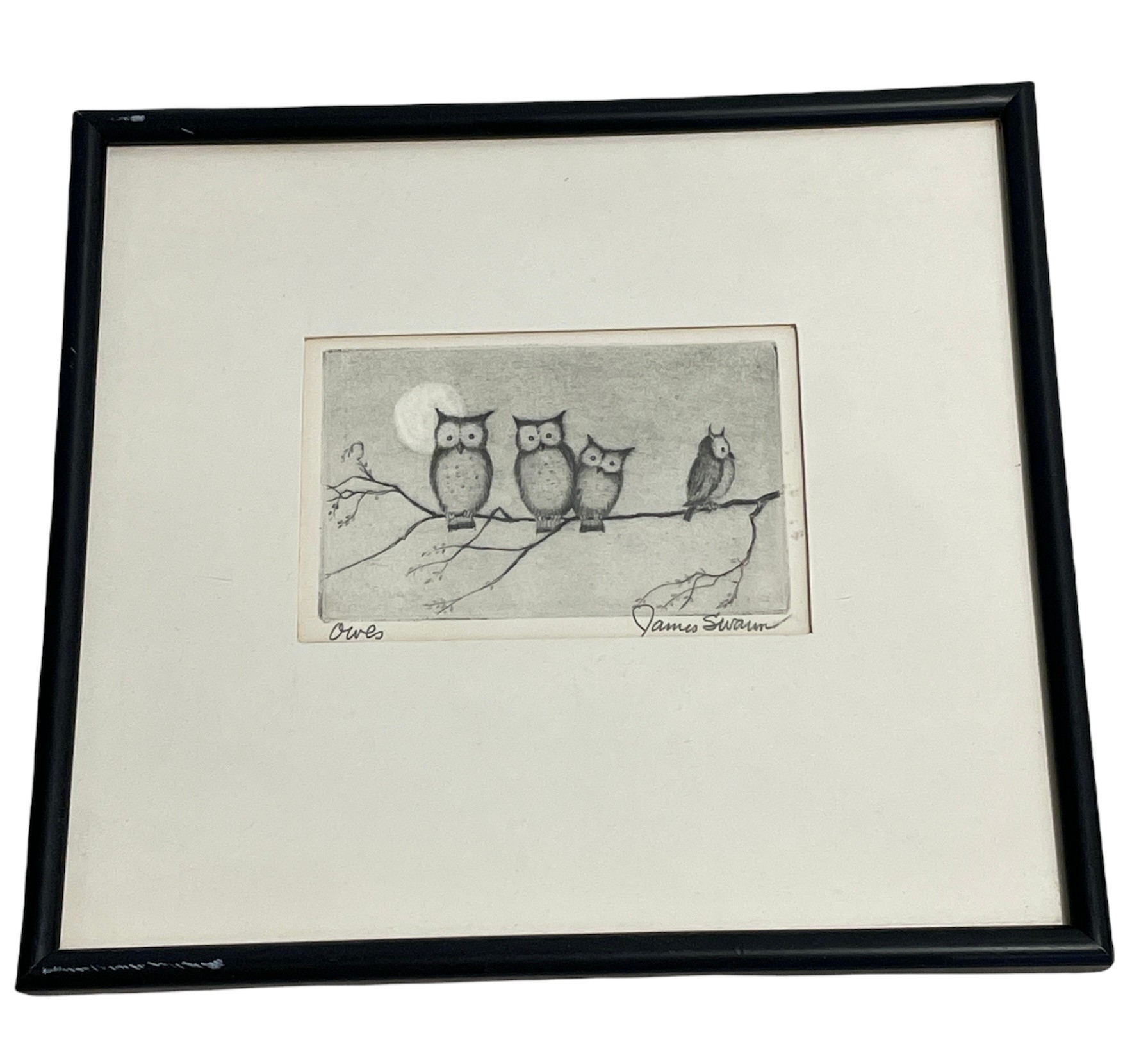 James Swann | JAMES SWANN Etching OWLS | MutualArt