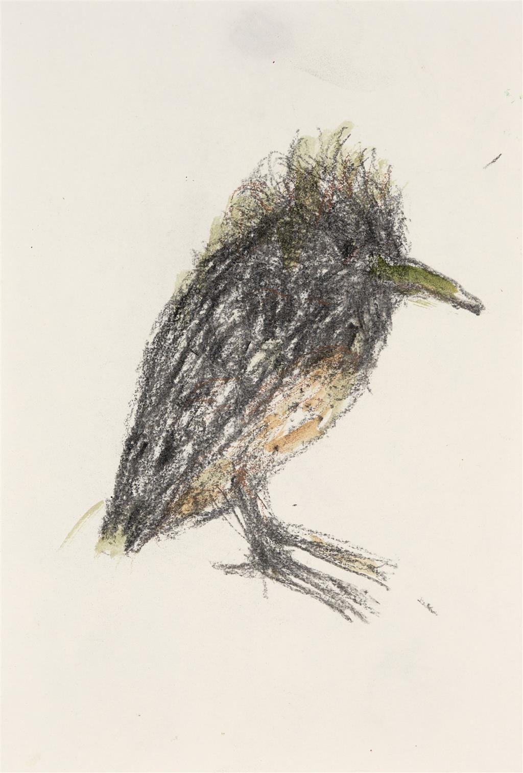 John Olsen | Five Drawings and Sketches and Artist Diary | MutualArt