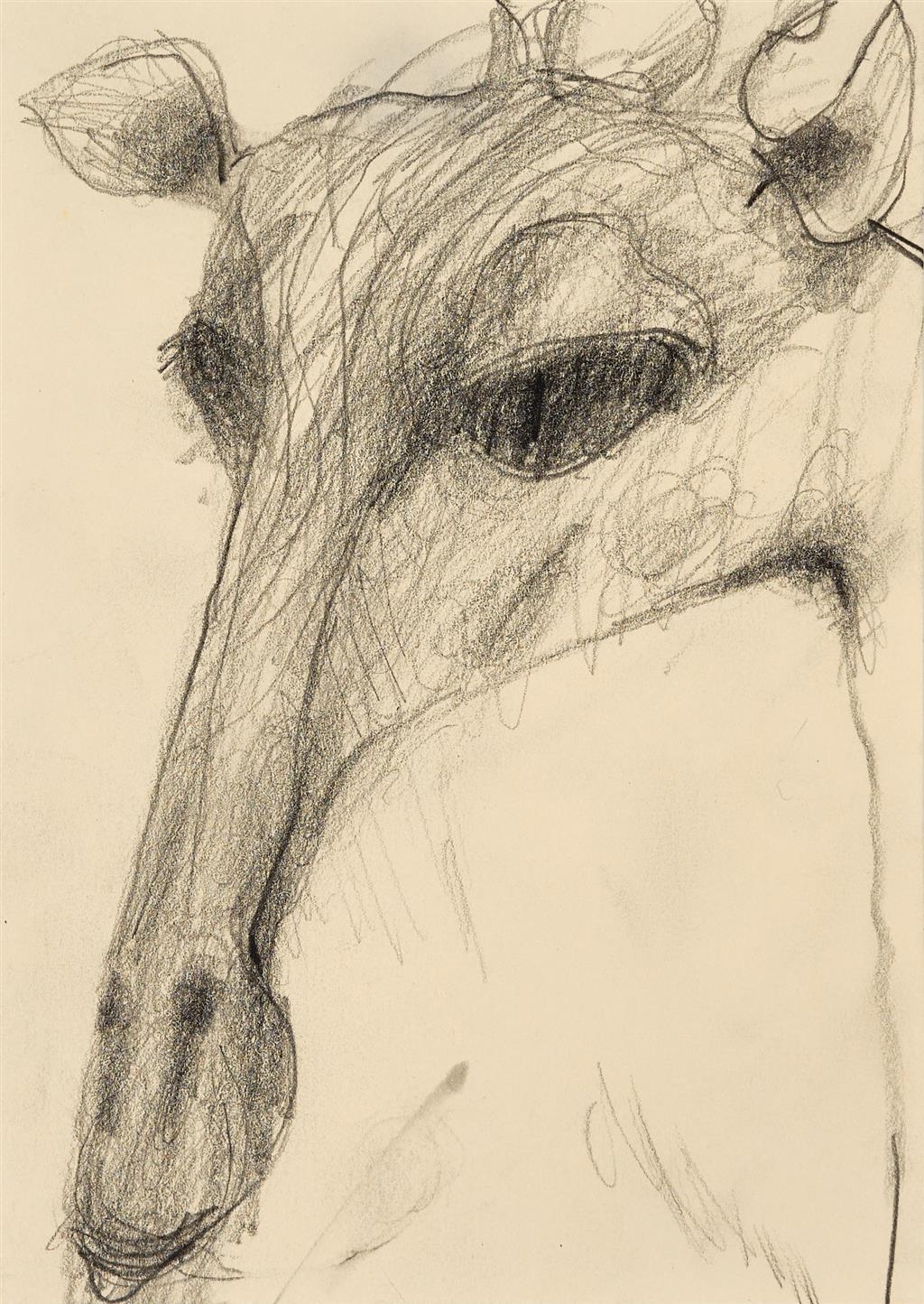 John Olsen | Five Drawings and Sketches and Artist Diary | MutualArt