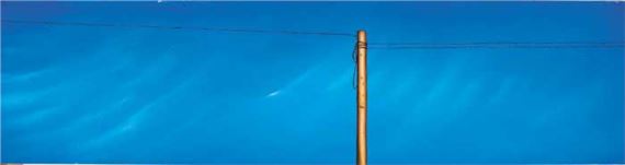 Edel Campbell | Biography